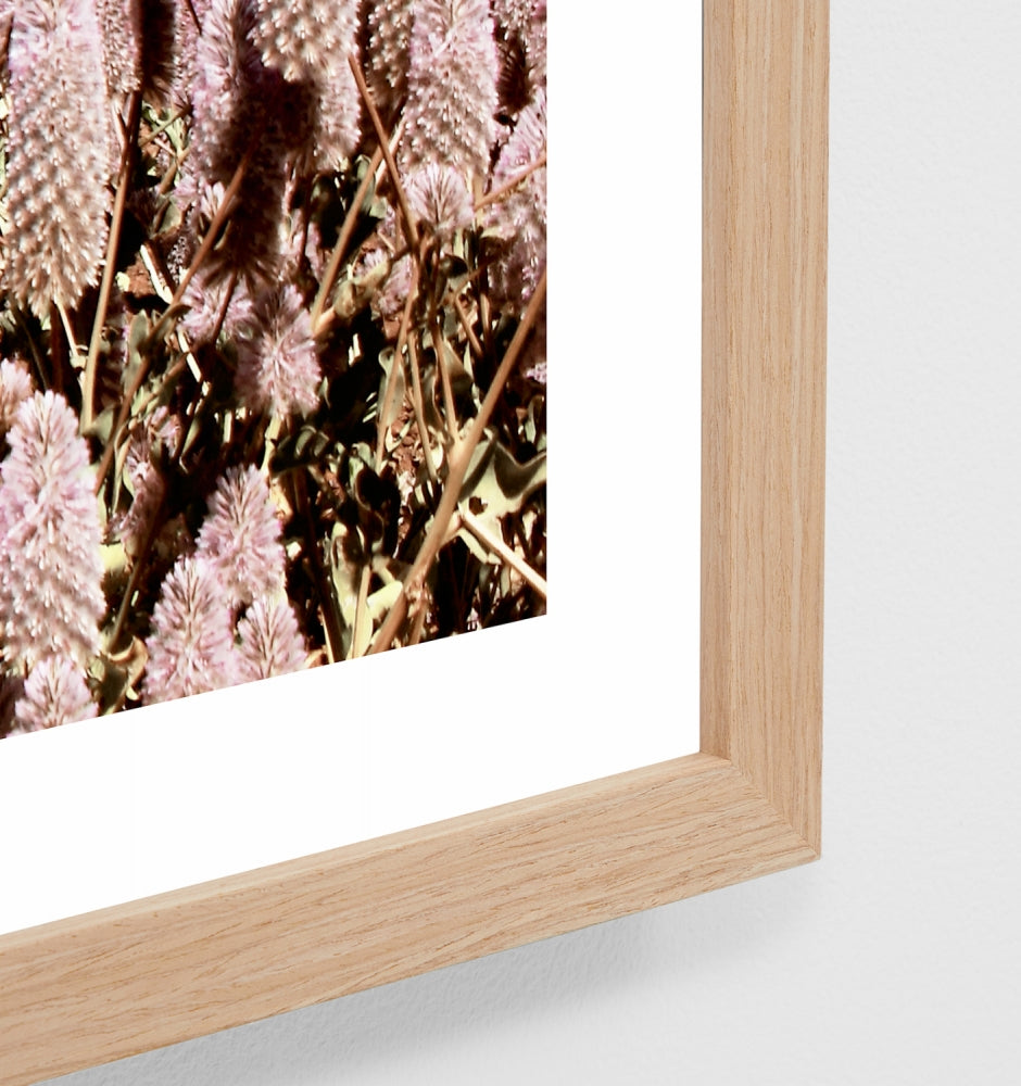 Outback Flowers Print | Oliver Birch